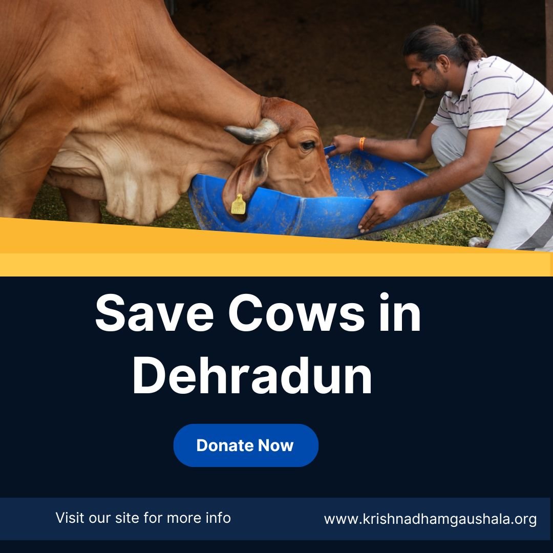 Save Cows, Online Cow Donation in India